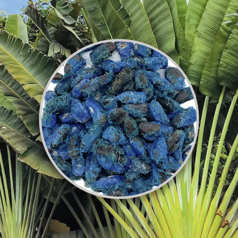 SpinTor 6 ml | Prírodný postrek proti škodcom - Plantizia.sk