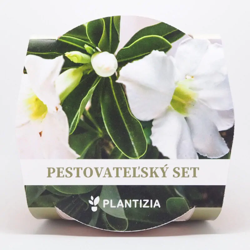 SpinTor 6 ml | Prírodný postrek proti škodcom - Plantizia.sk