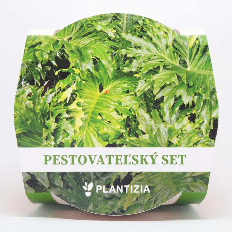 SpinTor 6 ml | Prírodný postrek proti škodcom - Plantizia.sk