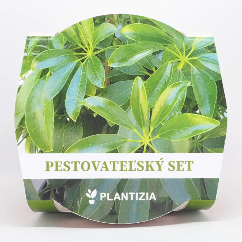 SpinTor 6 ml | Prírodný postrek proti škodcom - Plantizia.sk