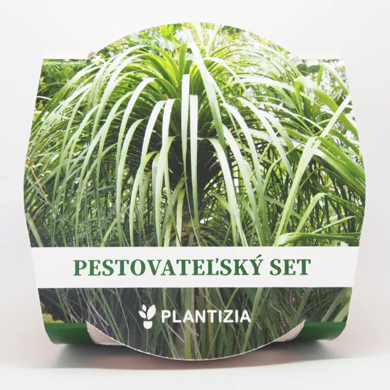 SpinTor 6 ml | Prírodný postrek proti škodcom - Plantizia.sk