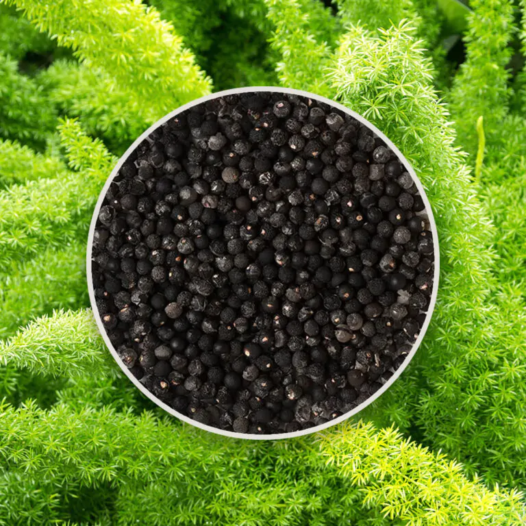 SpinTor 6 ml | Prírodný postrek proti škodcom - Plantizia.sk