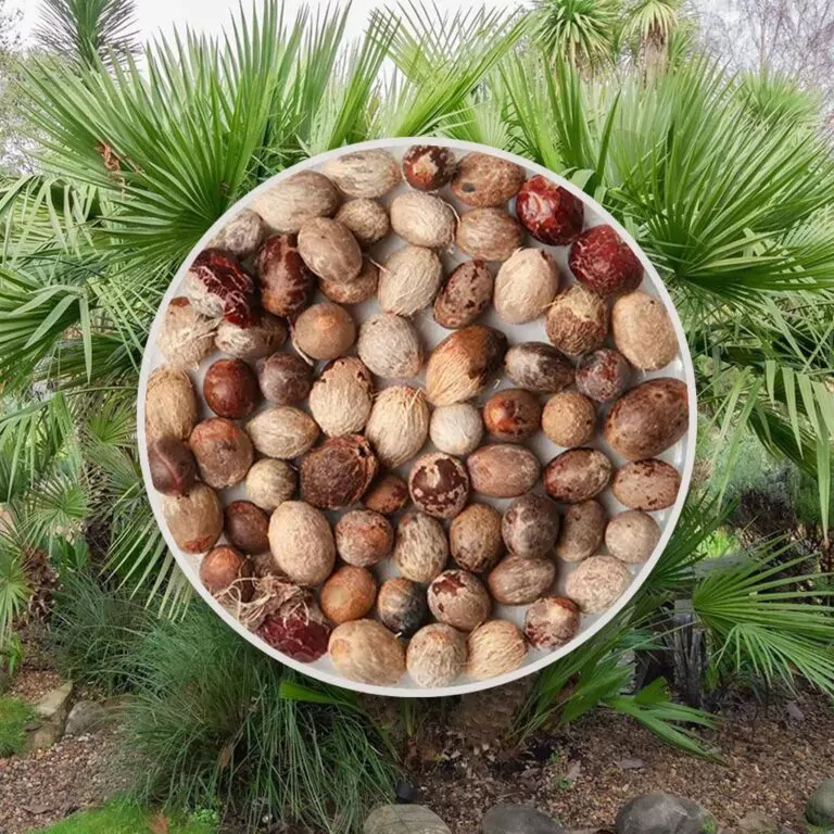 SpinTor 6 ml | Prírodný postrek proti škodcom - Plantizia.sk